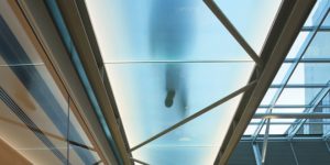 Translucent laminate - Viridian Glass